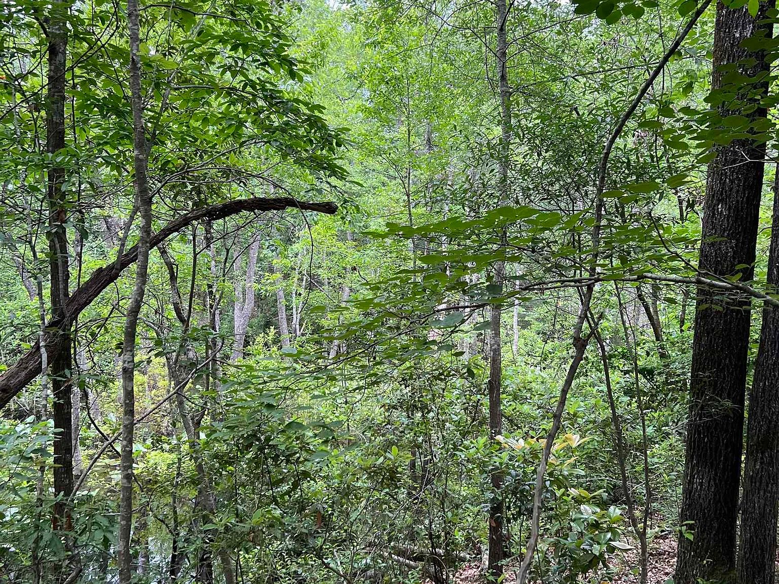 0 Lyndale Dr #3, West Columbia, SC 29170 | MLS #586034 | Zillow