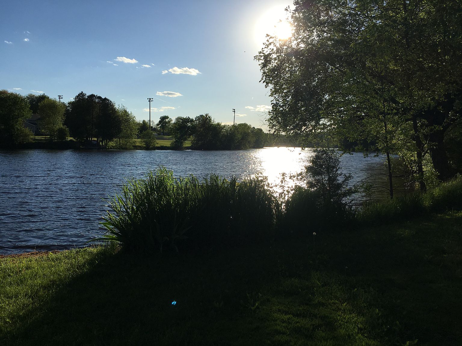 N3699 Netzel St, Caroline, WI 54928 | Zillow