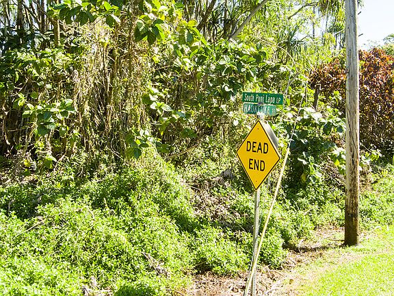 1782 Haukeuke St, Pahoa, HI 96778 | MLS #712630 | Zillow