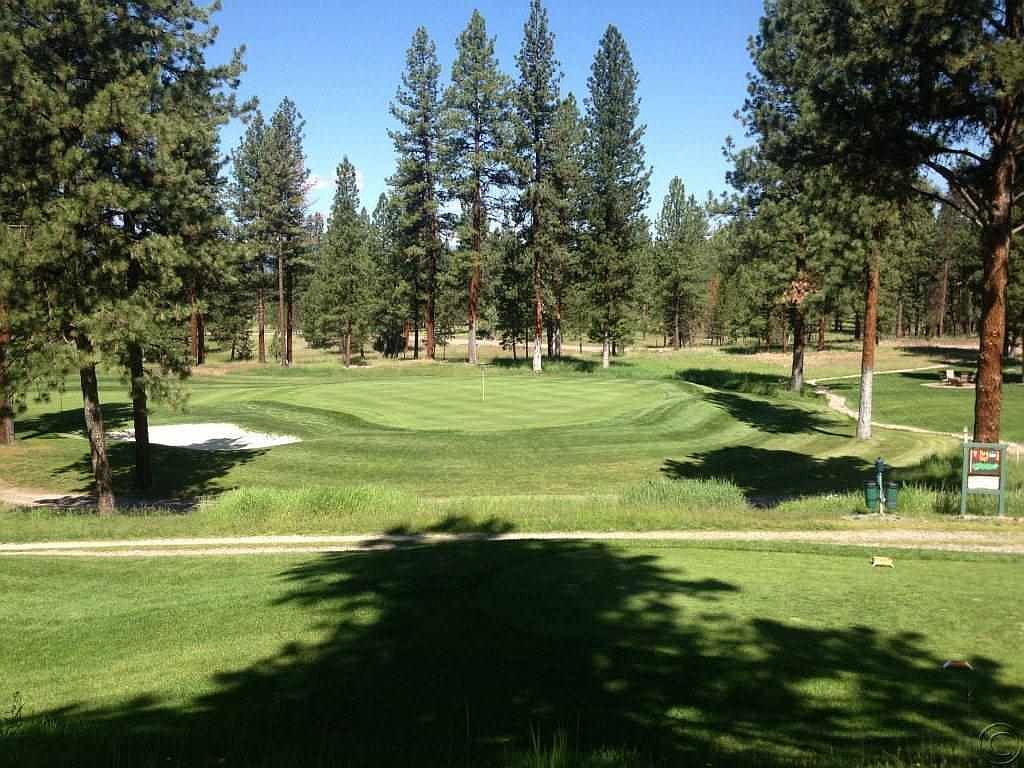 Nhn Double Arrow Rd, Seeley Lake, MT 59868 | Zillow