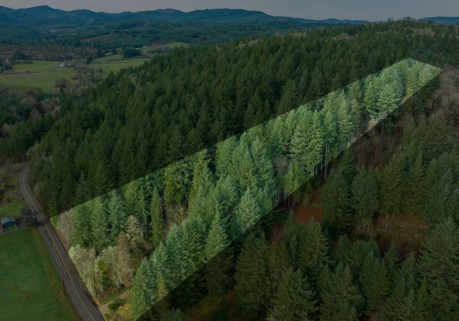 16600 NW Panther Creek Rd, Carlton, OR 97111 | MLS #23281221 | Zillow