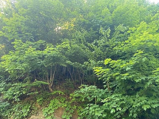 1305 Marg Fork Rd, Jewell Ridge, VA 24622 | Zillow