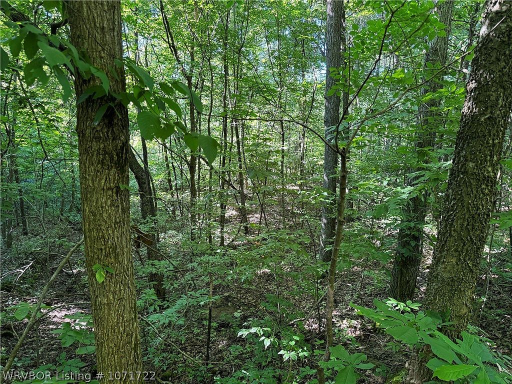 2 Madison #5430, Elkins, AR 72727 | Zillow