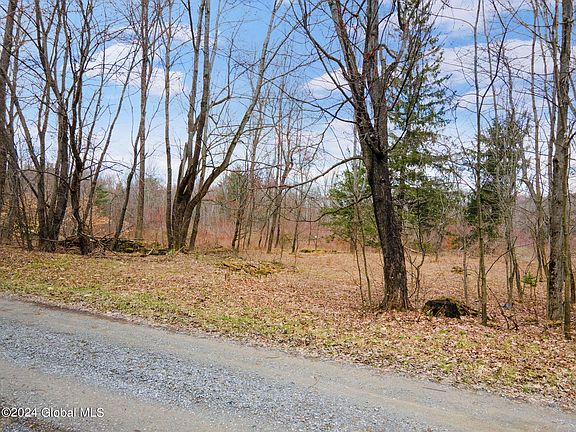 L1 Fulton Hill Road, West Fulton, NY 12194 | Zillow