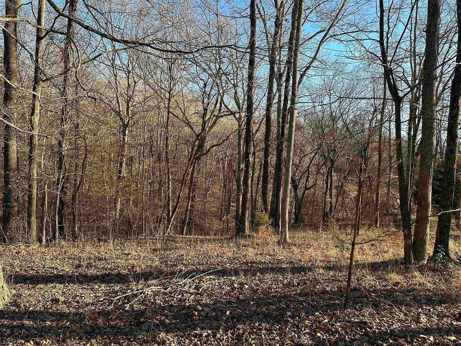 32 County Road 405, Killen, AL 35645 | Zillow