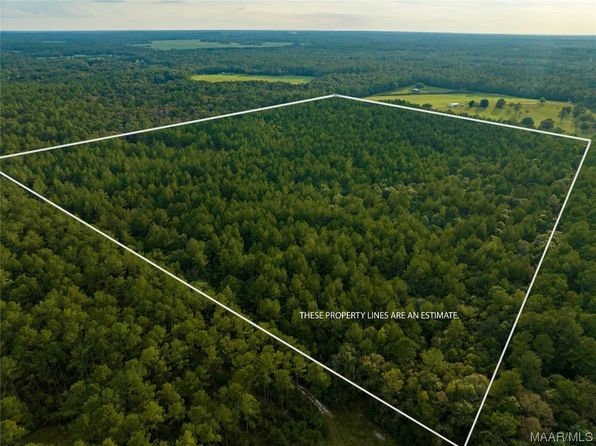 Samson AL Real Estate - Samson AL Homes For Sale | Zillow