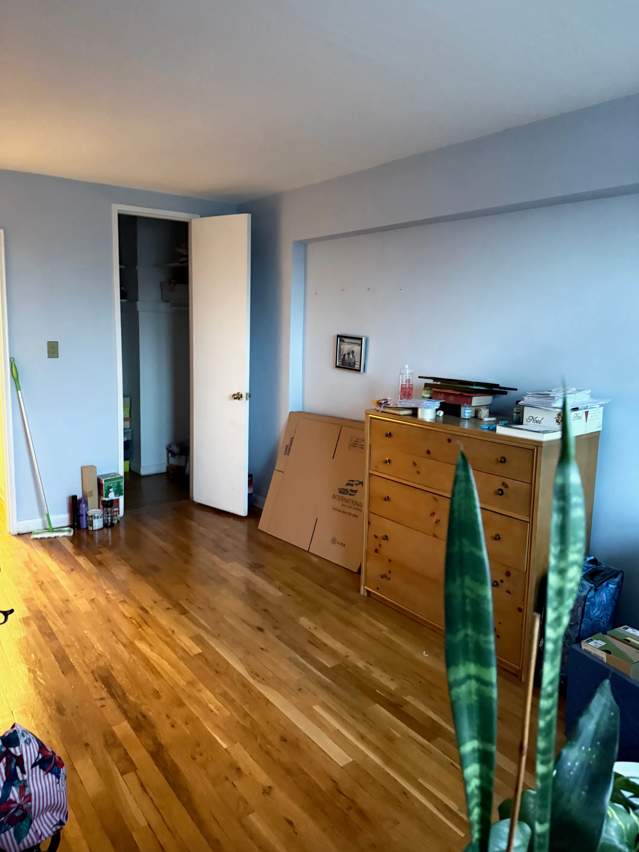 144-70 41st Avenue #5 in Murray Hill, Queens | StreetEasy