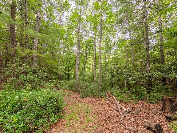 Forest Spur Ln, Bland, VA 24315 | Zillow