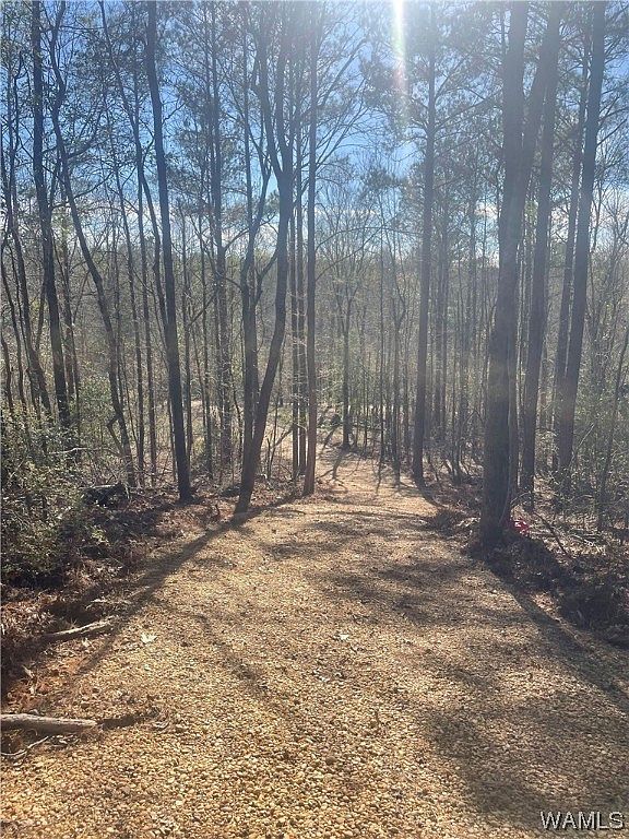 0 Lee Bonner Rd, Elrod, AL 35458 | Zillow