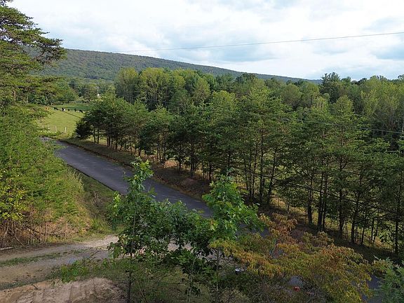 609 Ruppenthal Rd, Berkeley Springs, WV 25411 | MLS #WVMO2003586 | Zillow