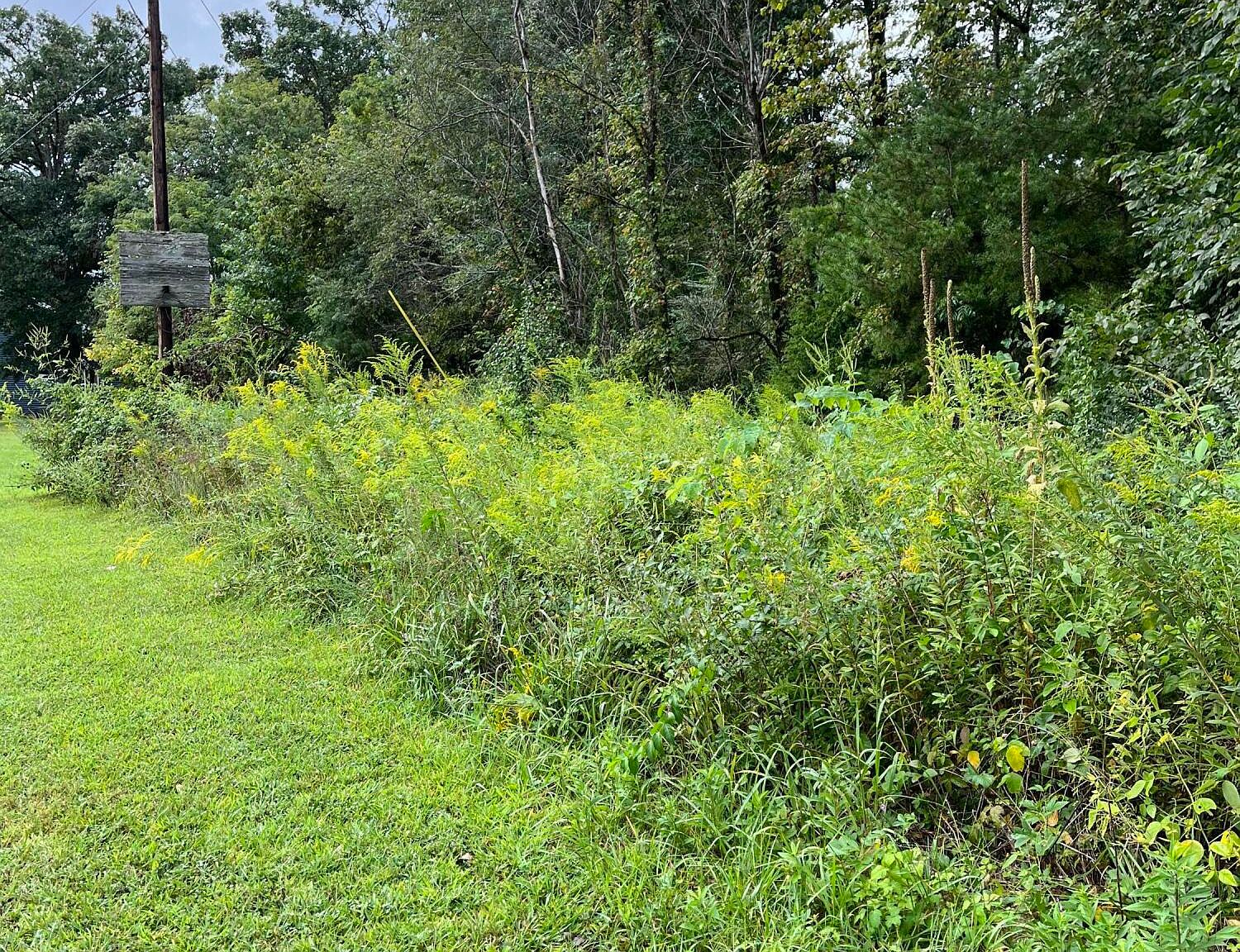 2255 Kyrock Rd, Sweeden, KY 42285 | Zillow