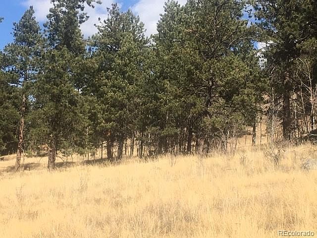 62430 Us Highway 285, Bailey, CO 80421 | Zillow