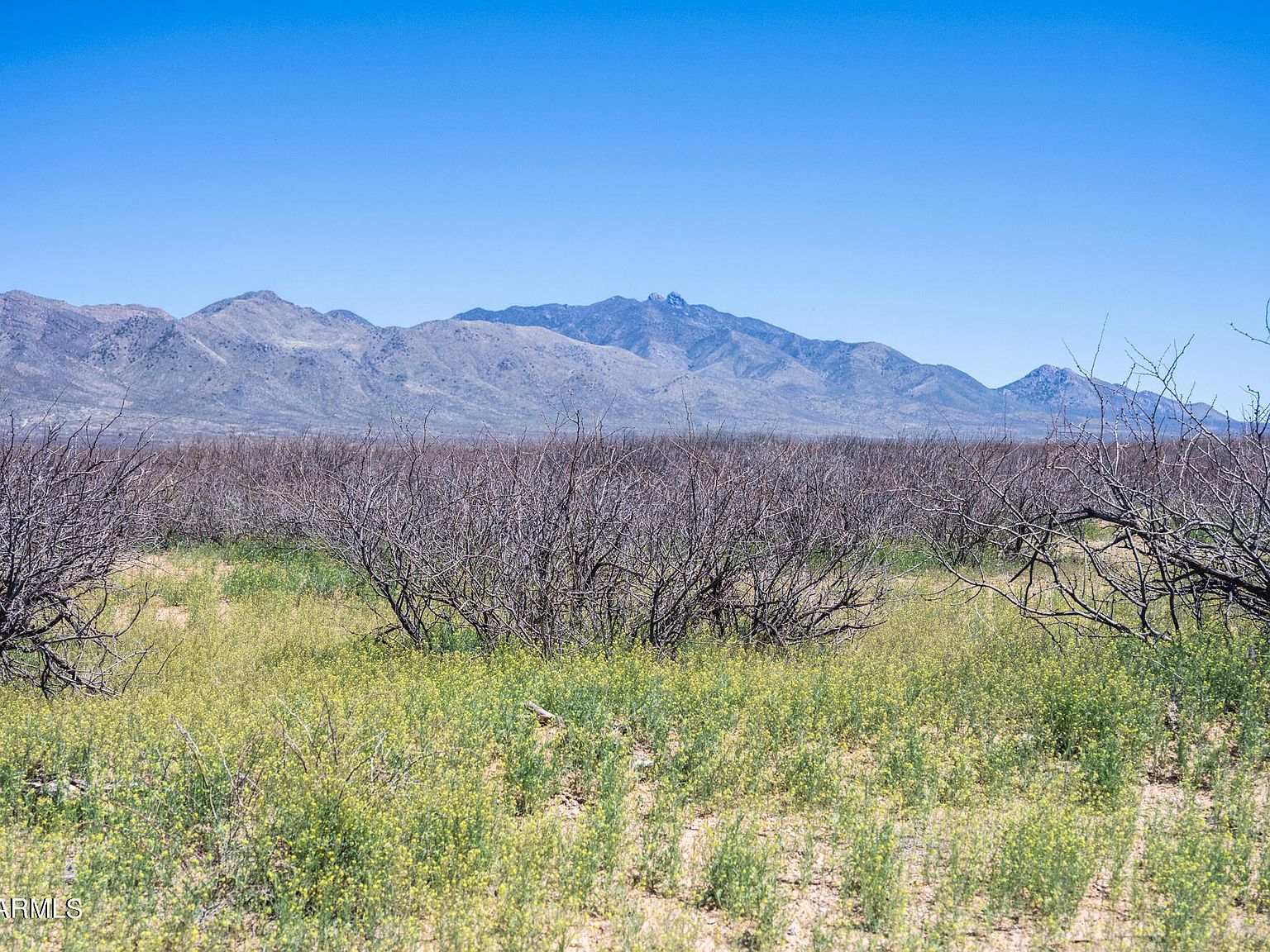 E Martin Ranch Lot 4 Rd #4, Willcox, AZ 85643 | Zillow