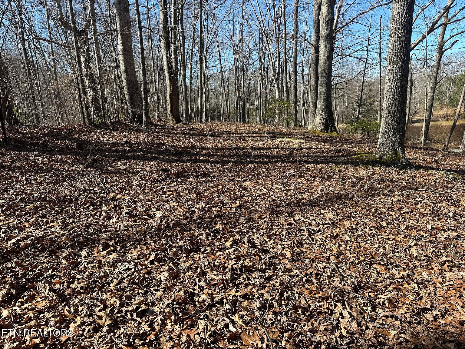 Ridge Rd, Baxter, KY 40806 | Zillow