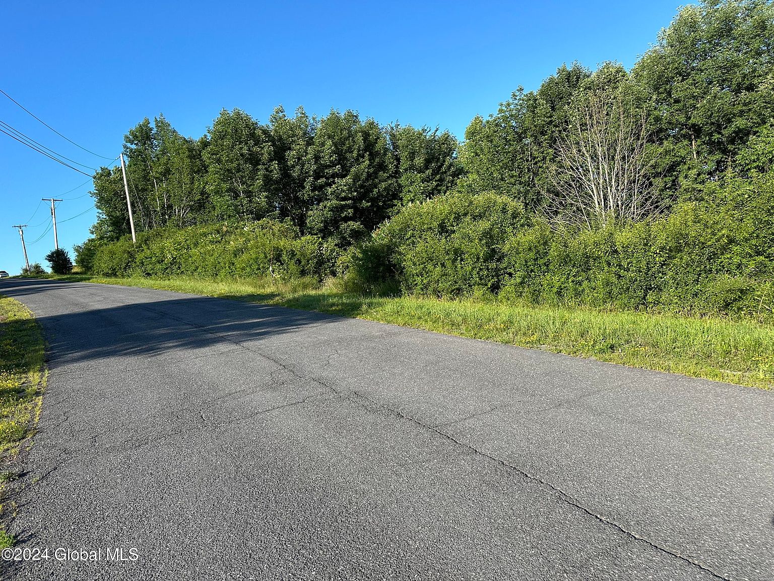5 Kendall Court, Altamont, NY 12009 | Zillow