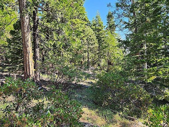 0 California Pines Blvd LOT 53, Alturas, CA 96101 | Zillow
