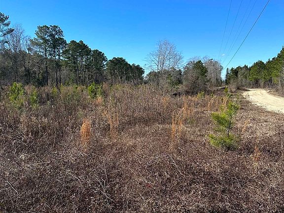 TBD Section 2 Highway 378, Gresham, SC 29546 | MLS #2402372 | Zillow