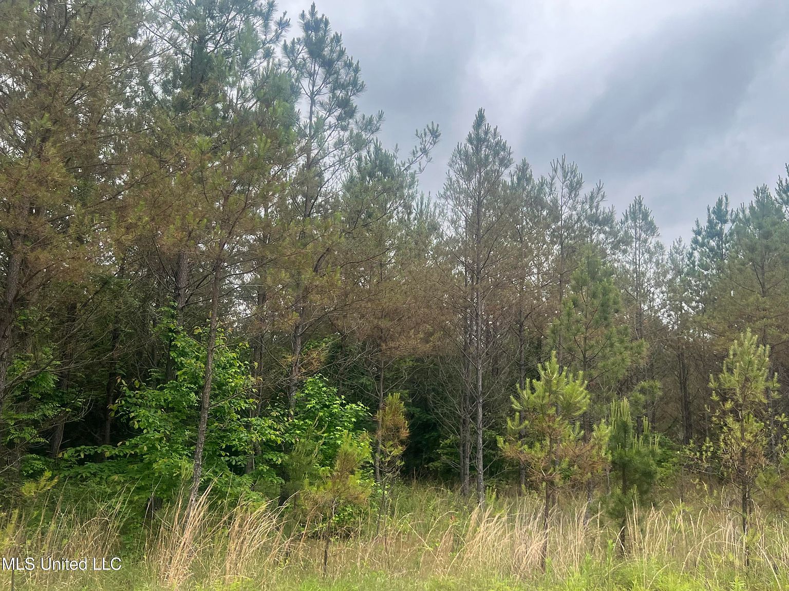 Watts Rd, Hickory Flat, MS 38633 | MLS #4079933 | Zillow