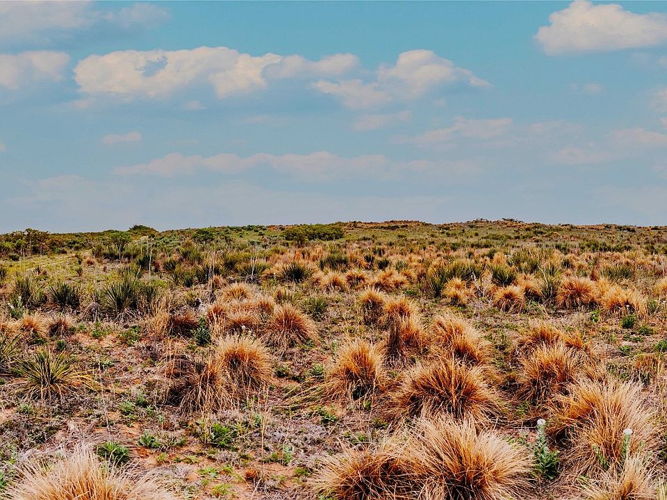 N State Highway 70, Flomot, TX 79234 | MLS #20219253 | Zillow