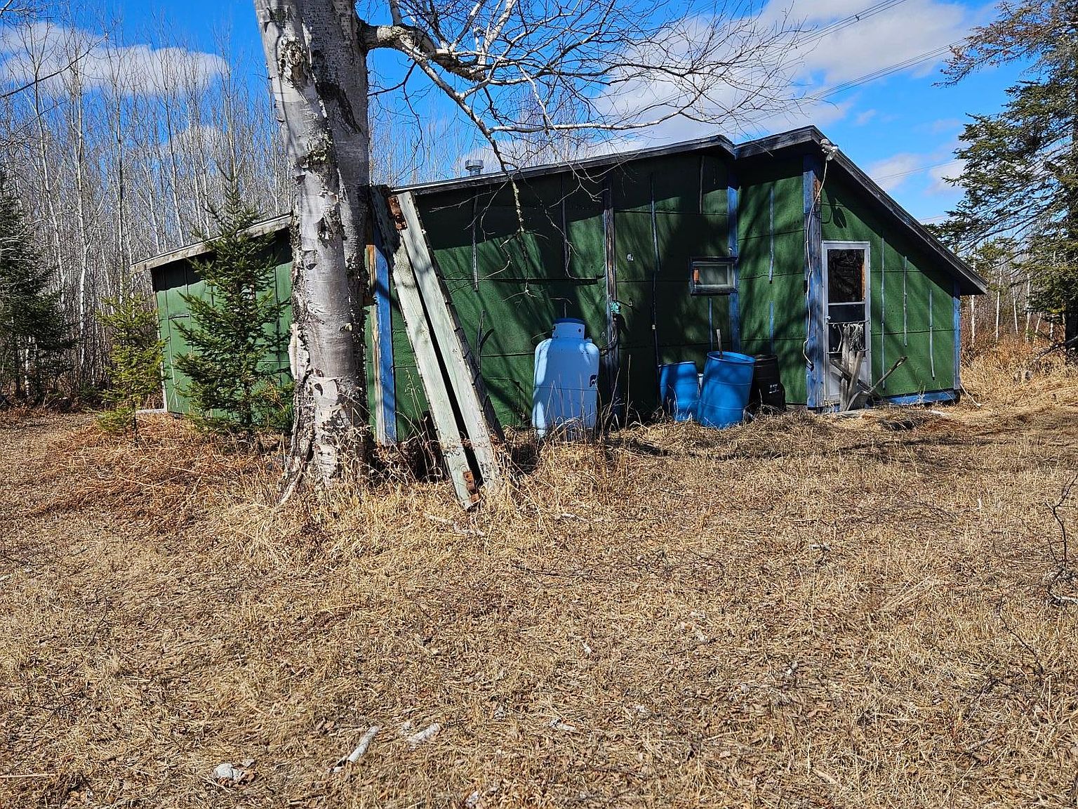 7183 County Road 3 SW, Williams, MN 56686 | Zillow