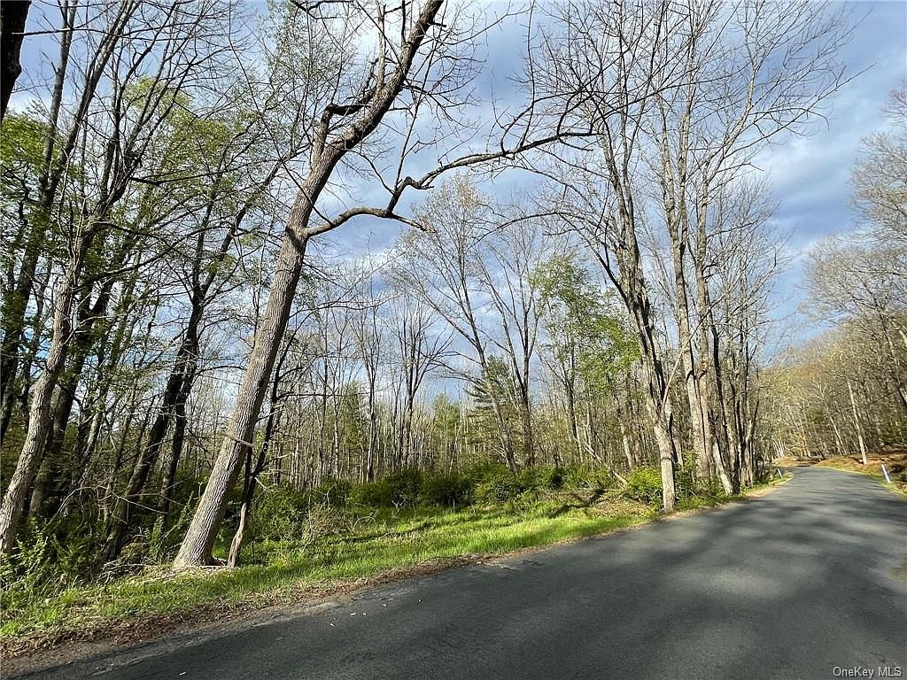 New Turnpike A, Cochecton, NY 12726 | MLS #H6247494 | Zillow