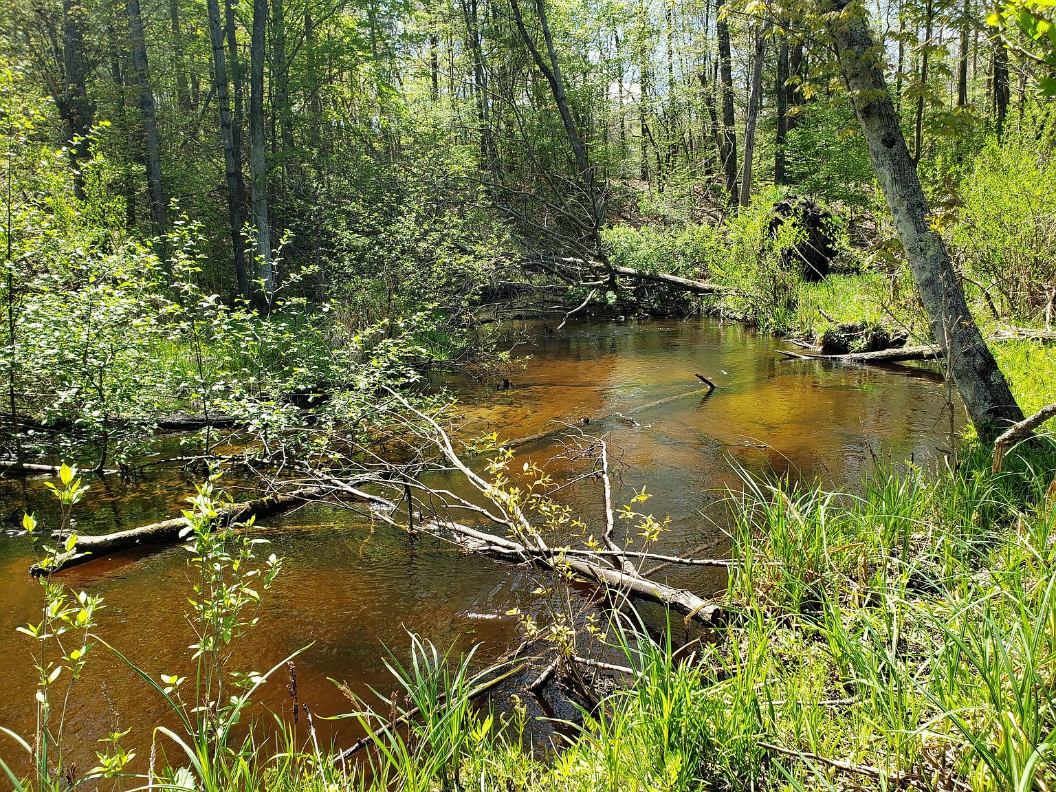 104th Ave, Grand Junction, MI 49056 | Zillow