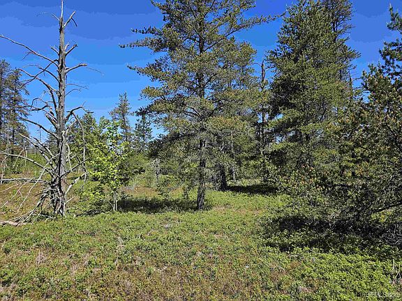 Off Of M94 Hwy, Gwinn, MI 49841 | MLS #50144328 | Zillow Off Of M94 Hwy, Gwinn, MI 49841 | MLS #50144328 | Zillow