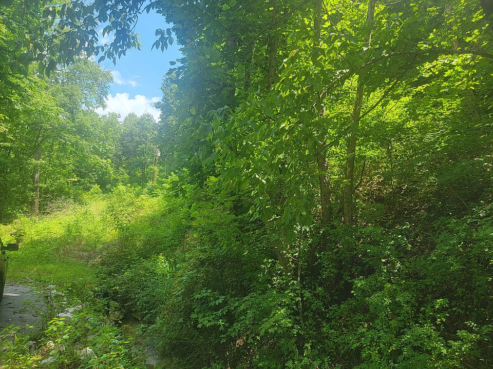 672 Buffalo Rd, Meally, KY 41234 | Zillow