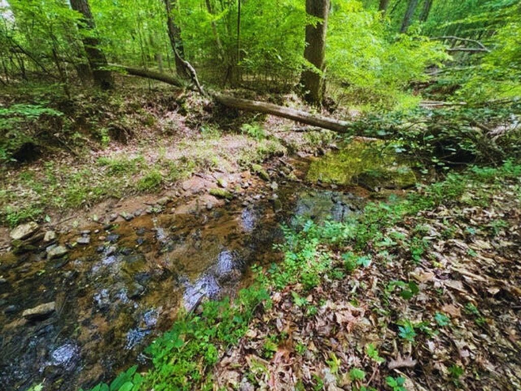 243 Pointe North Path, Dallas, GA 30132 | MLS #7213532 | Zillow