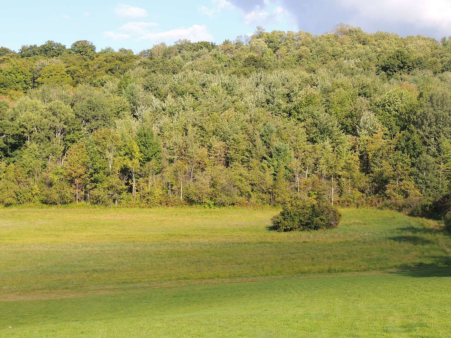 253 Midline Rd #Lot B, Slaterville Springs, NY 14881 | Zillow