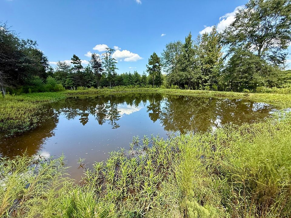 0 Dummy Line Rd, Thomasville, AL 36784 | MLS #11572564 | Zillow