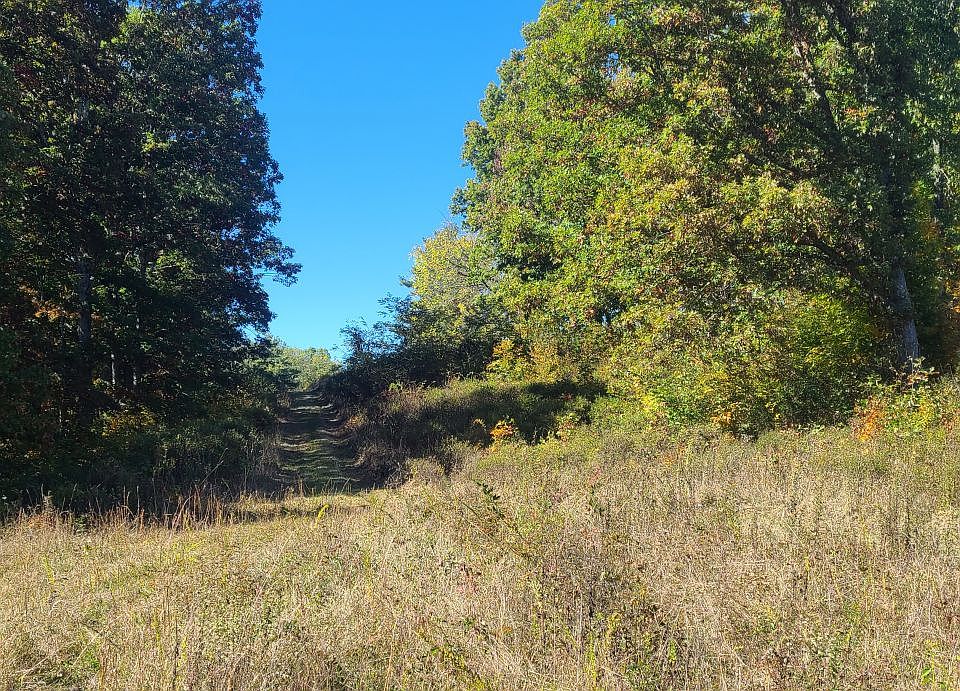 123 Ellison Ridge Rd, Jumping Branch, WV 25969 | Zillow