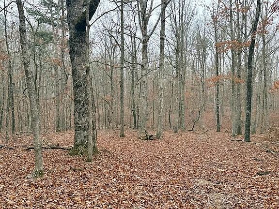 000 Forest Service Road, Hartshorn, MO 65479 | MLS #60286784 | Zillow