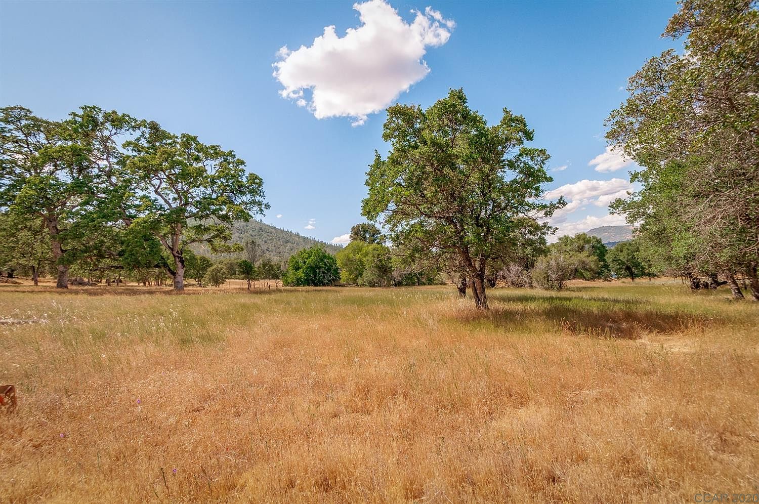 9941 Spring Hill Ranch Rd #1, Angels Camp, CA 95222 | Zillow