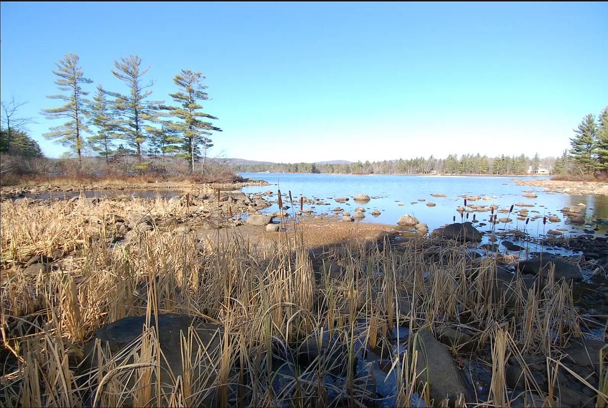 50 Auclair Road lot 43 & 65, Union, NH 03887 | Zillow