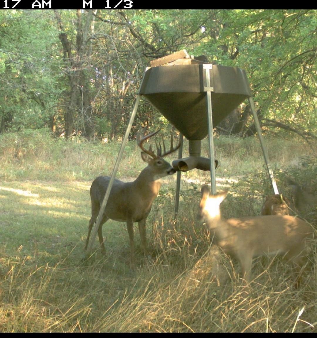 100 Southeast Ave, Murdock, KS 67111 | Zillow