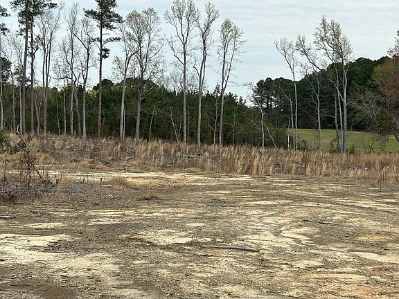 W Old Spring Hope Rd, Spring Hope, NC 27882 | MLS #11469036 | Zillow