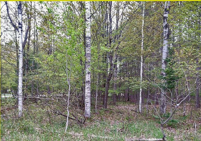 LOT 19 Bent Tree Dr, Gaylord, MI 49735 | Zillow