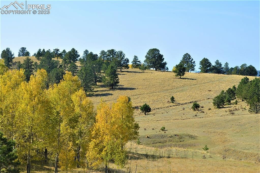 County Road 86, Victor, CO 80860 | Zillow
