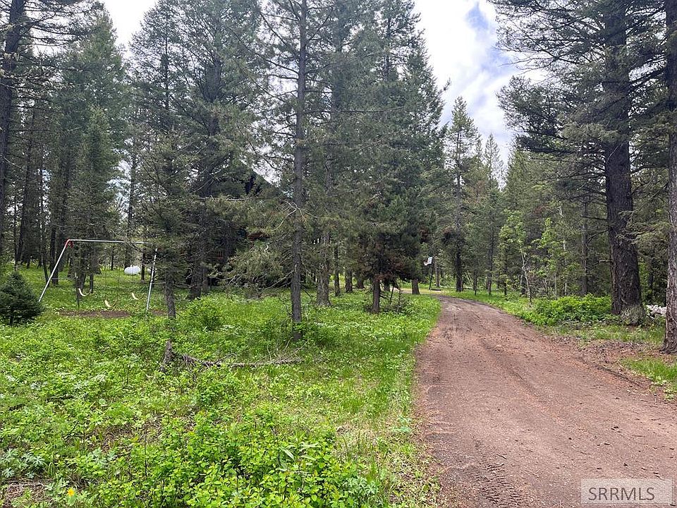 4055 SW Sagehen Dr, Island Park, ID 83429 | MLS #2154883 | Zillow