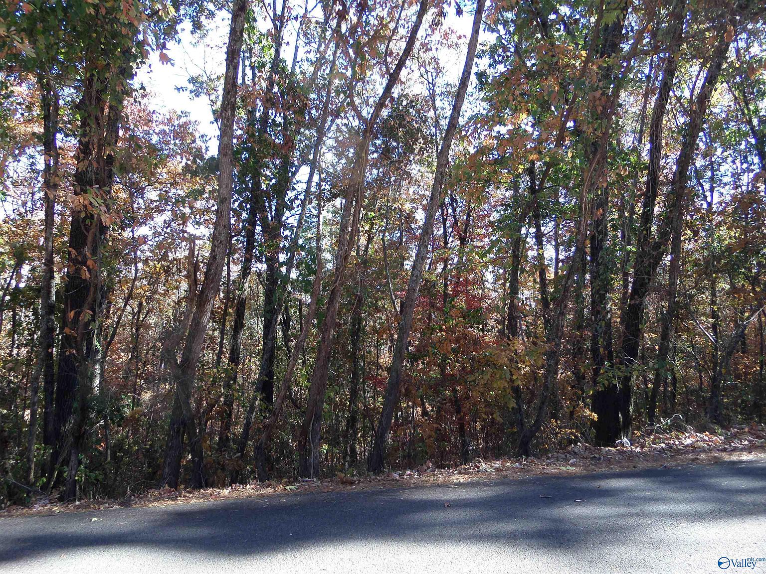 18-19 Scenic Hwy, Gadsden, AL 35904 | Zillow