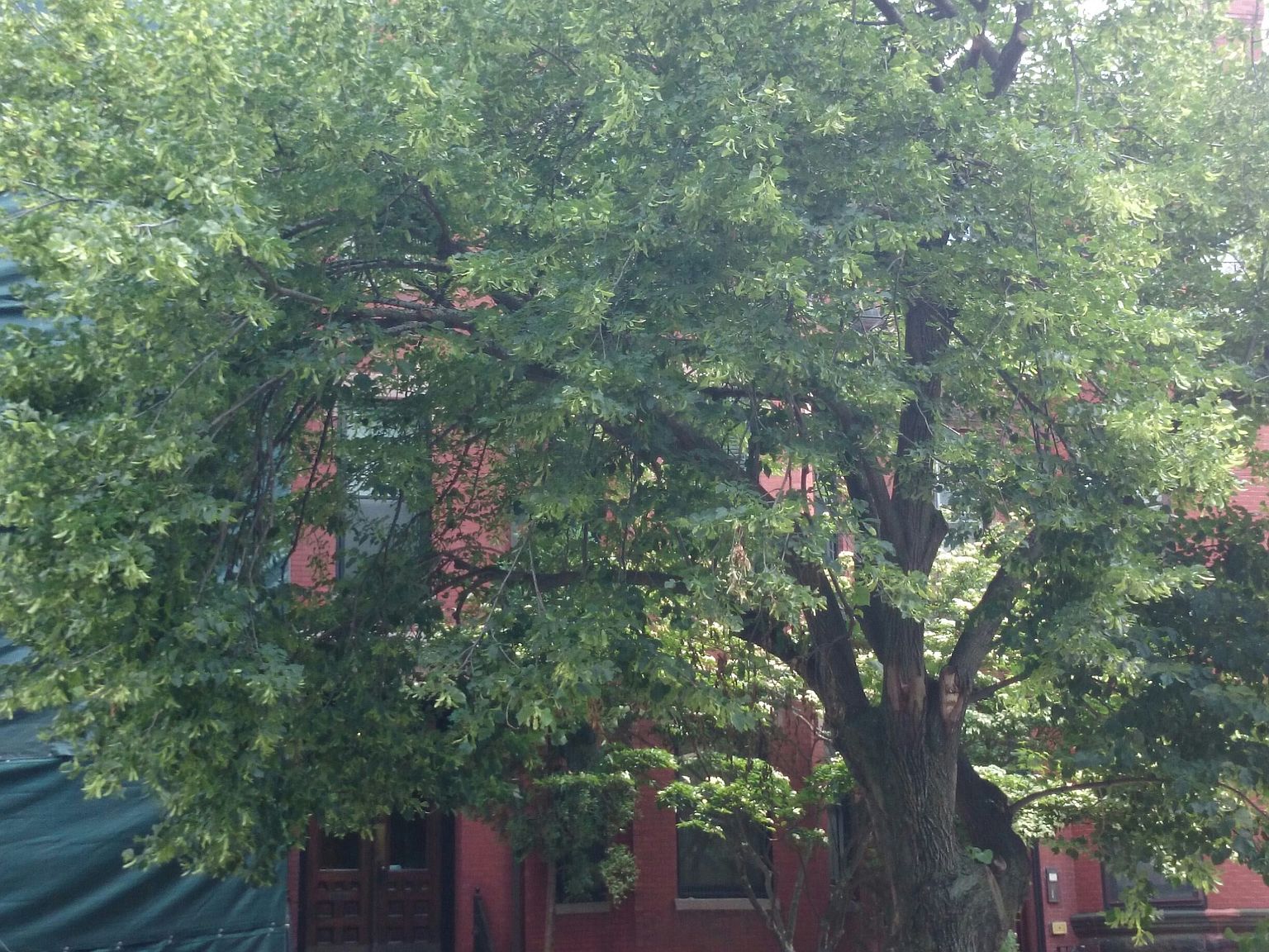 449 Beacon St APT 4, Boston, MA 02115 | Zillow