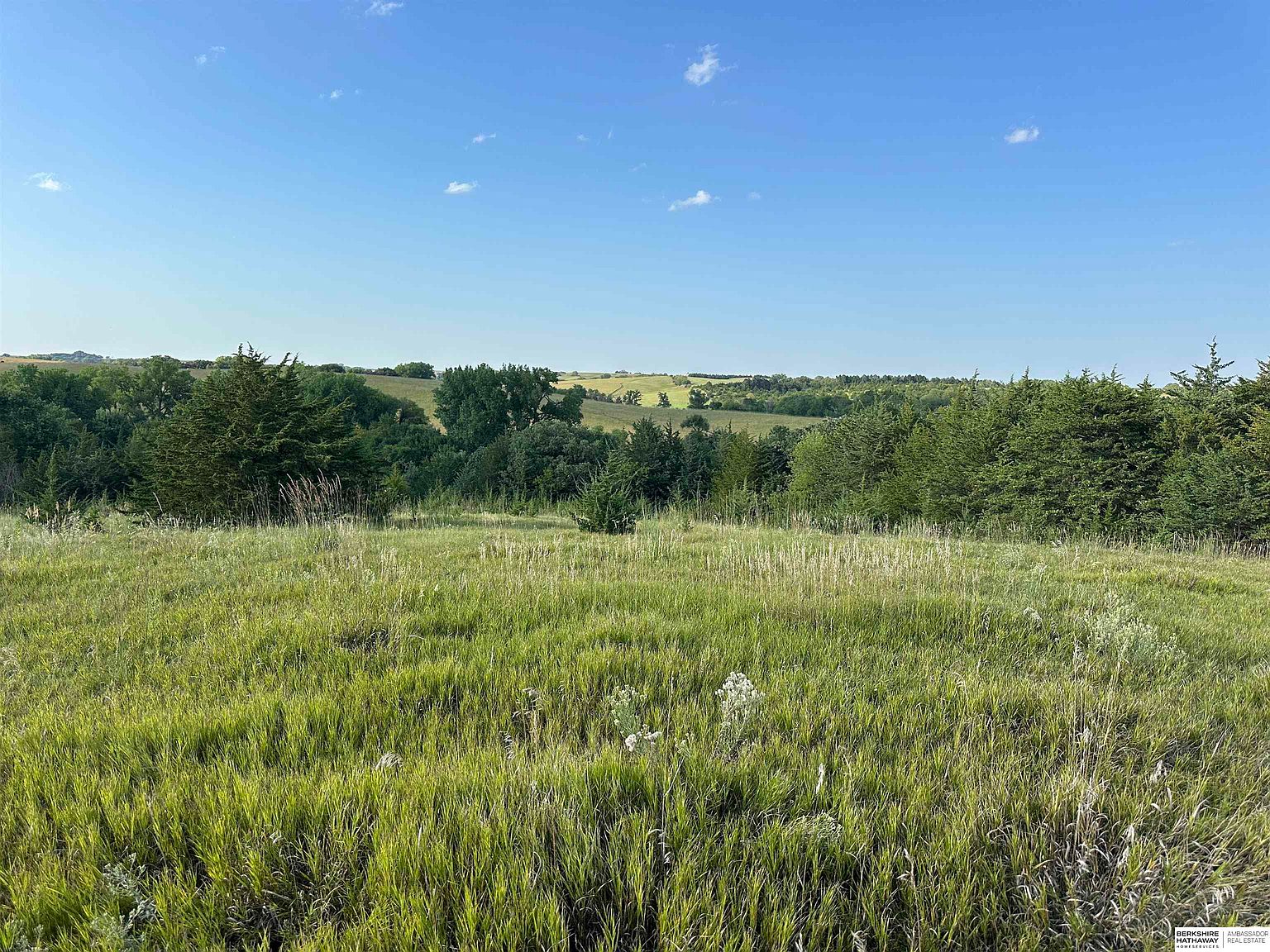 NE Section 20 13 4 Point, Dwight, NE 68635 | MLS #22422281 | Zillow