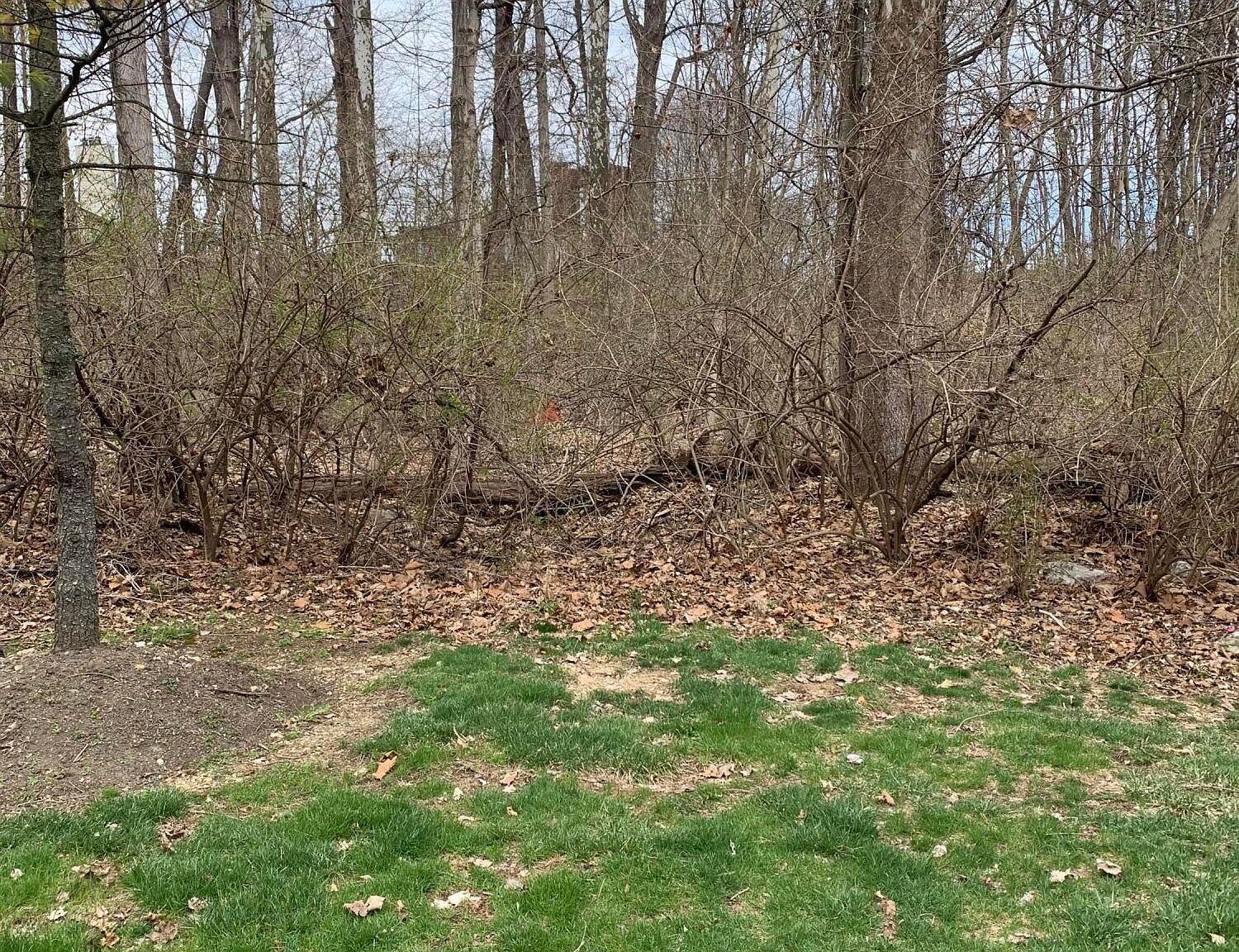 2750-2776 Lauffer Ravines Dr, Columbus, OH 43231 | Zillow