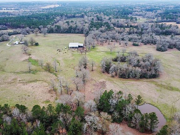7395 County Road 4200, Pennington, TX 75856 | MLS #34666728 | Zillow