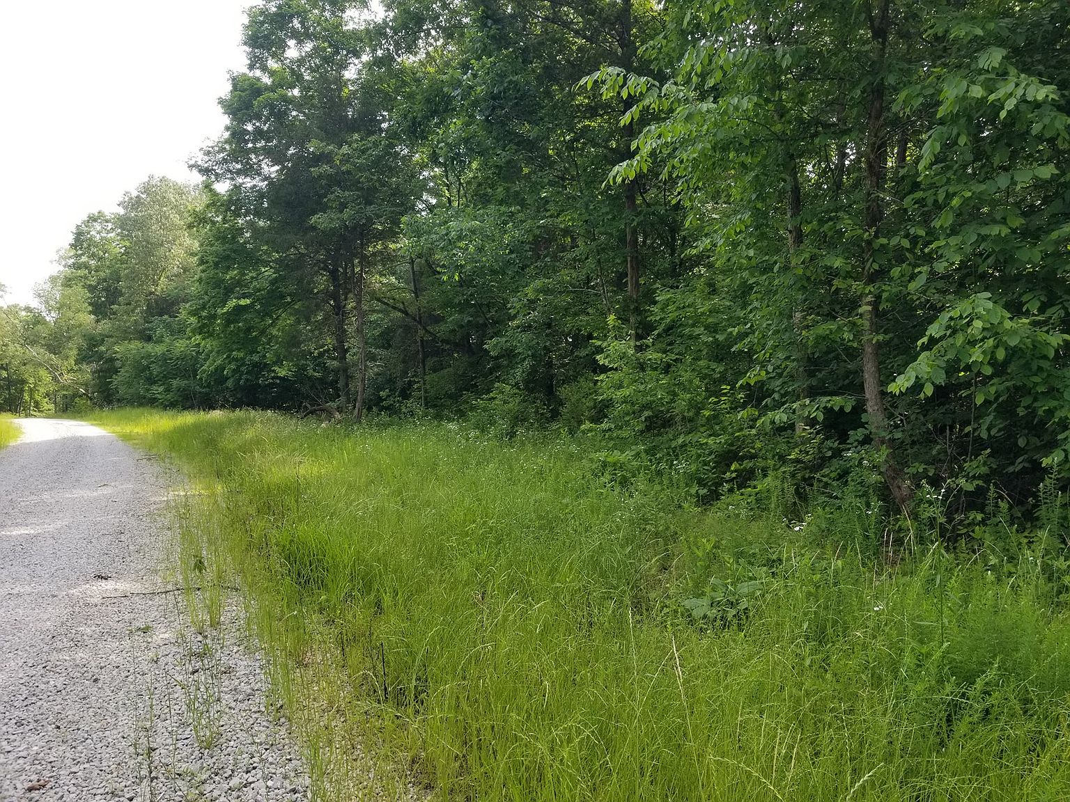 Jared Dr, Clifton, TN 38425 | Zillow