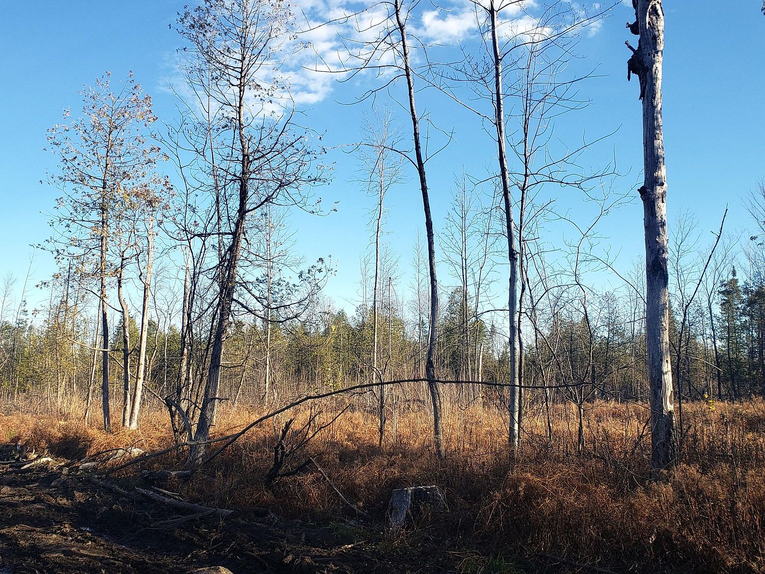 0 Constable Burke Town Line Rd, Burke, NY 12917 | MLS #203563 | Zillow