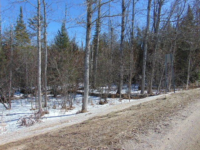 0 S Hulbert Rd, Hulbert, MI 49748 | Zillow