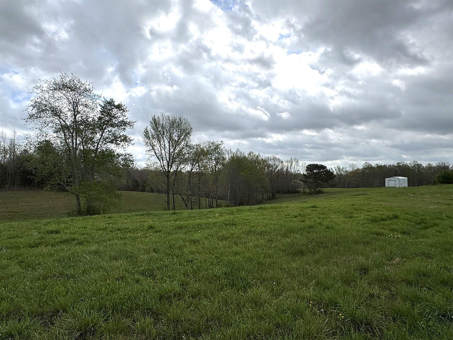 0 County Road 59, Lexington, AL 35648 | Zillow