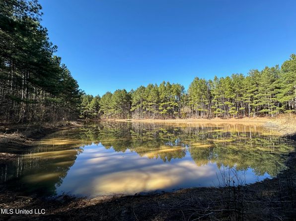 Decatur MS Real Estate - Decatur MS Homes For Sale | Zillow